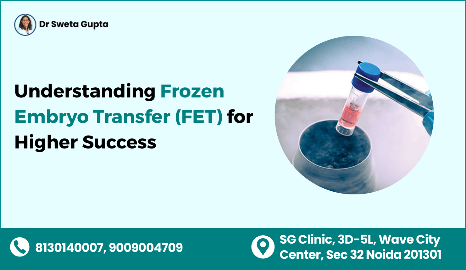 Understanding Frozen Embryo Transfer (FET) for Higher Success - Dr ...